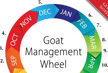 Goat Notes — Goat Care Cheat Sheets for Backyard Goats Members